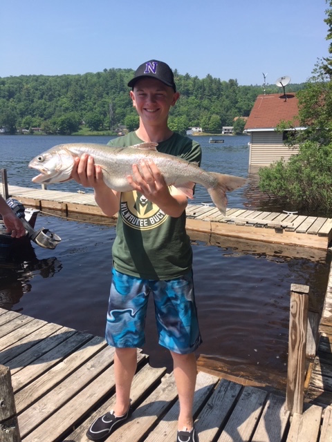 FISH REPORTS - 2019